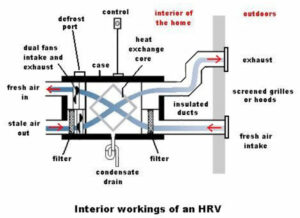 HRV and Furnace Combo: Boost Efficiency & Air Quality | GASLink
